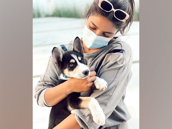 Priyanka Chopra 'can't get enough' of her adorable dog 'Panda'