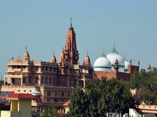 Hindu Mahasabha treasurer files plea seeking removal of Meena Masjid ...