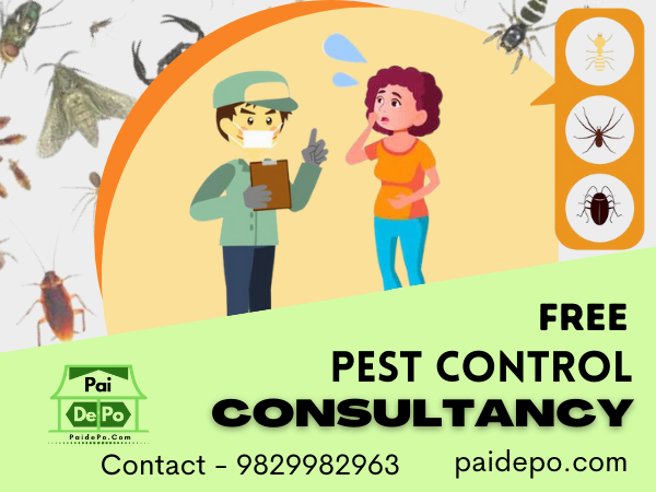 Pai Hygiene and Healthcare announces free consultation for organic pest ...