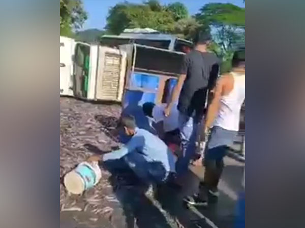 Tempo carrying fish overturns in Assam, locals go into looting frenzy ...