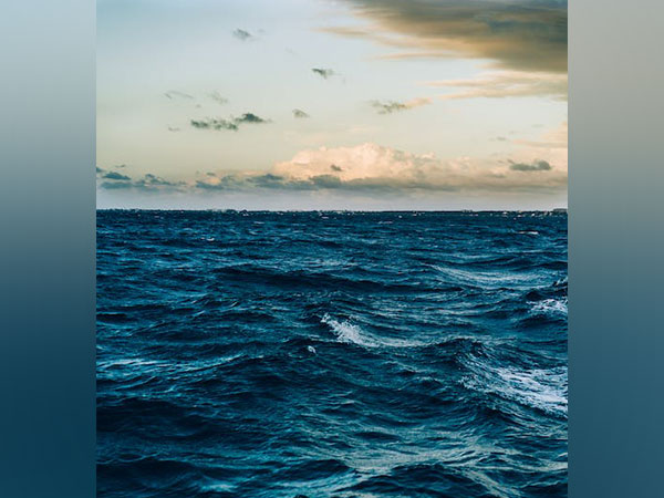 How do algae photosynthesize in deep sea: Study