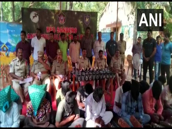 Andhra Pradesh: Red sander logs worth 1 crore recovered, 15 arrested