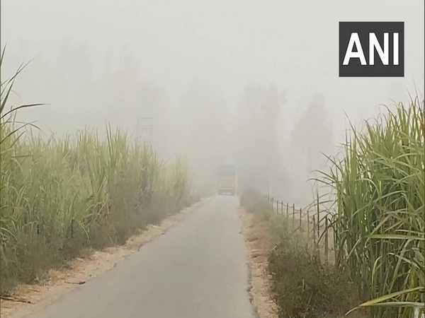 Punjab: Dense fog condition continue to prevail in Pathankot