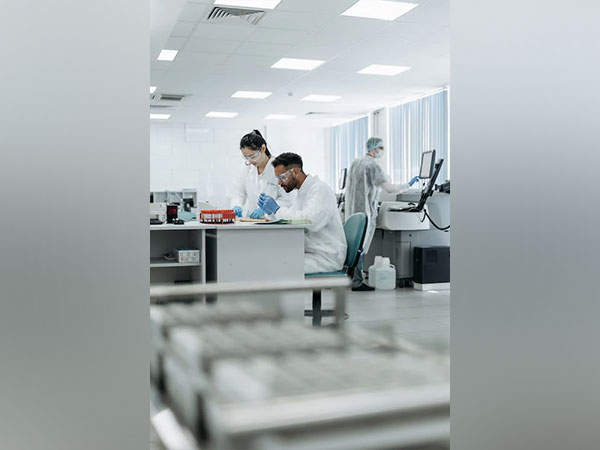 Research suggests cells sense their mechanical environment during ...