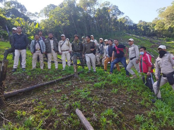 Joint security team destroys large-scale opium cultivation in Manipur's ...