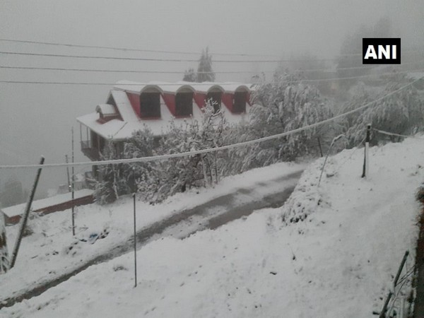 Cold wave sweeps North India, Himachal receives fresh snowfall, Delhi-NCR wakes up to dense fog