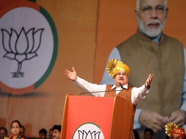 "It's only possible in BJP for small-town boy to become national ...