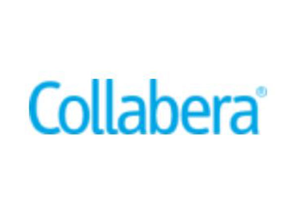 Collabera, LLC Welcomes Mike Fromhold as New Chief Executive Officer