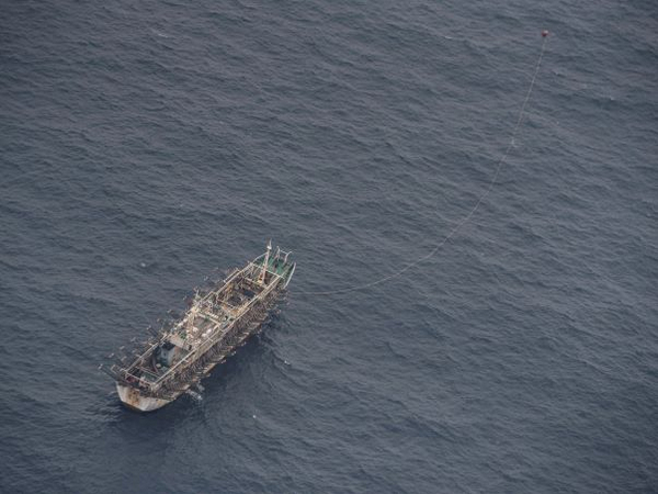 Chinese distant-water fishing activities growing rapidly, unsustainably ...