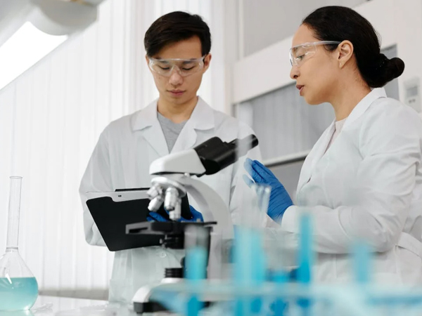 Research reveals link between obesity-related neurodegeneration, Alzheimer's disease