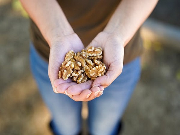 Why walnuts can be your go-to for your daily quota of plant-based Omega ...