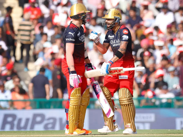 IPL 2023: Virat Kohli, Faf du Plessis' 137-run opening stand power RCB to 174/4 against PBKS