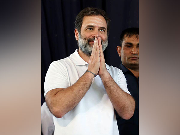 Rahul Gandhi extends wishes on National Panchayati Raj Day, remembers ...