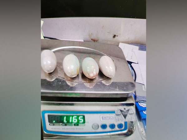 Passenger held with gold paste worth over 50 lakh at Delhi airport