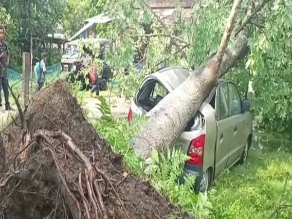 Assam: Severe storm and rain hit Jorhat damaging houses and trees