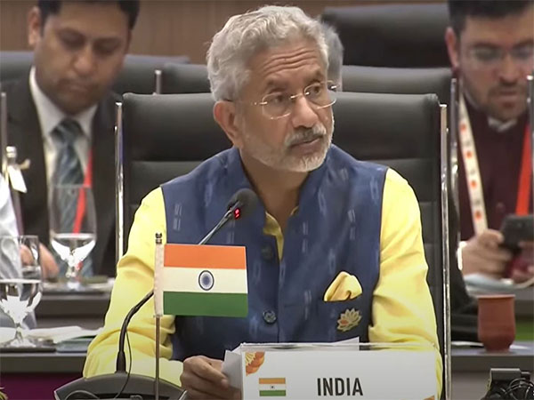 India's plan for progress on SDGs presents inclusive roadmap for G20 actions: Jaishankar