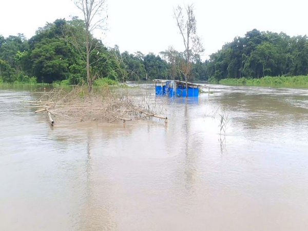 Assam flood situation remains grim; nearly 35,000 people affected