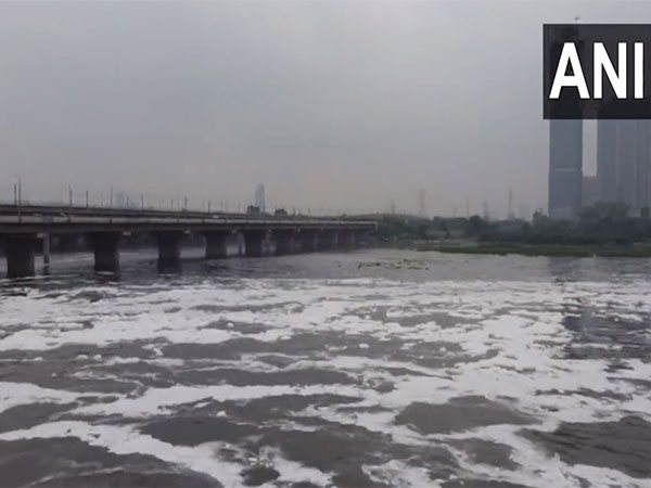 Delhi on high alert as Yamuna crosses danger mark, touches 206. 24-meter