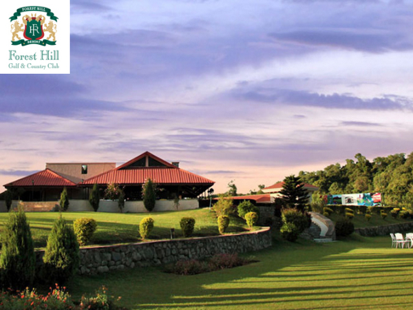 Forest Hill Resort Collaborations: Elevating the guest experience with ...