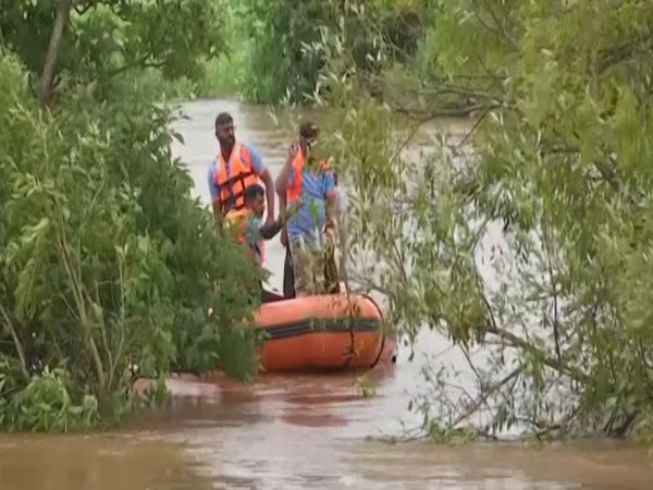 Maharashtra: Man stranded on tree in middle of swollen Warana River ...