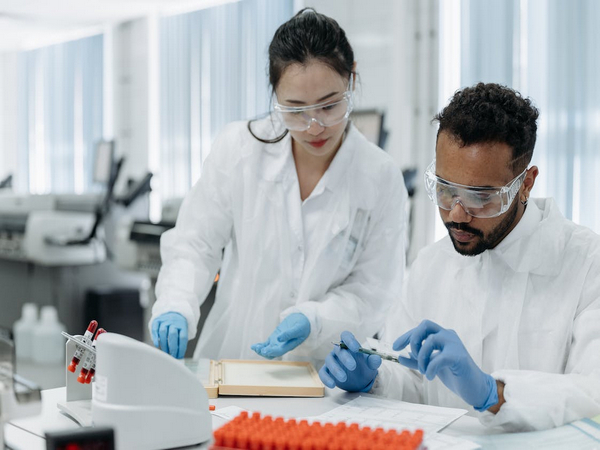 Mineralization of bone matrix affects tumour cell growth: Research