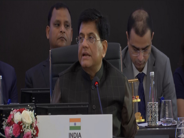 “MSMEs are backbone of economies…”: Piyush Goyal at G20 Trade and Investment Ministerial Meeting