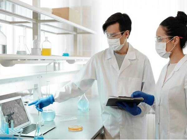 Transparent thin-film solar cell developed with flexible substrate and ...