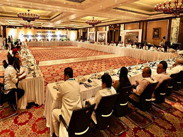 PCC chiefs of poll-bound states discuss strategies to defeat BJP in CWC ...