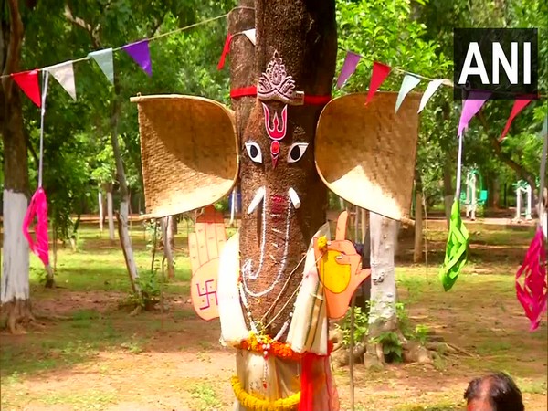 Odisha: Tree worshipped as Ganpati in Bhubaneshwar