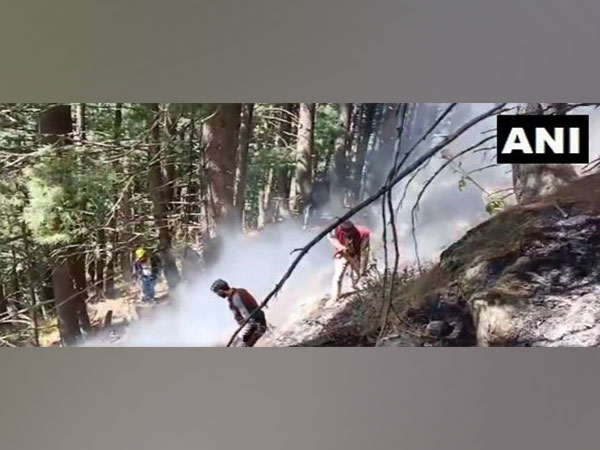 J-K: Fire breaks out in D H Pora forest range of Kulgam district