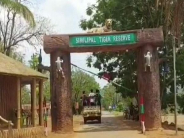 Tiger census begins at Similipal National Park in Odisha's Mayurbhanj
