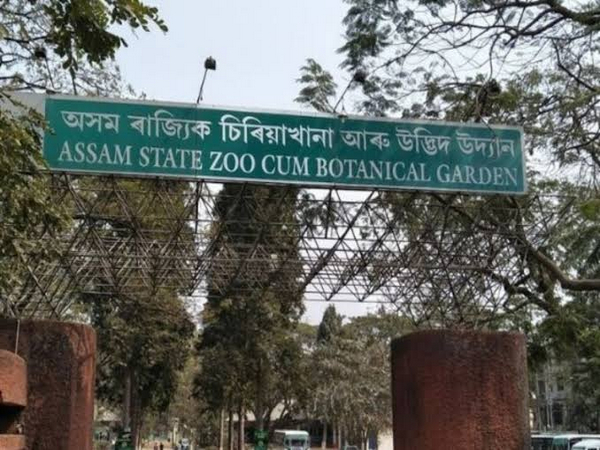 Assam Zoo takes measures to keep animals warm during winter