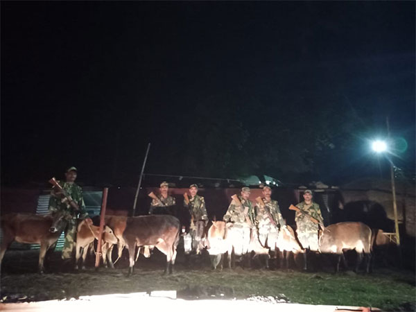BSF rescues 37 cattle heads along international border in Meghalaya