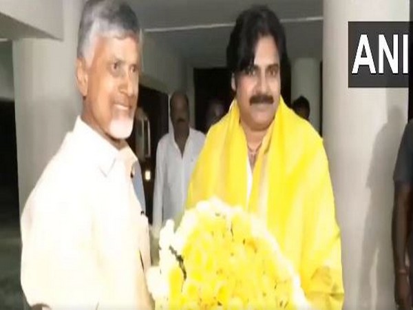 Andhra Pradesh: Pawan Kalyan meets TDP chief Chandrababu Naidu in Amaravathi