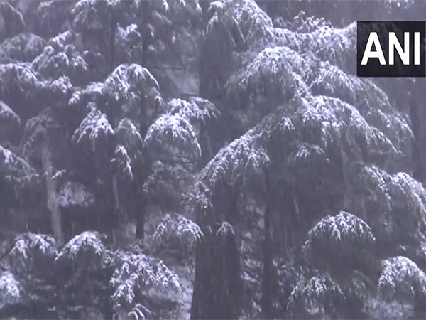 IMD predicts more rain, snowfall during next 48 hours in Himachal Pradesh