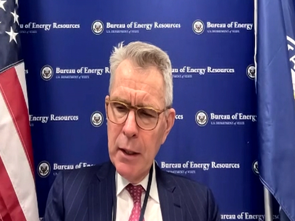 Indian Navy's action on Houthis illustrates its capacity as net ...