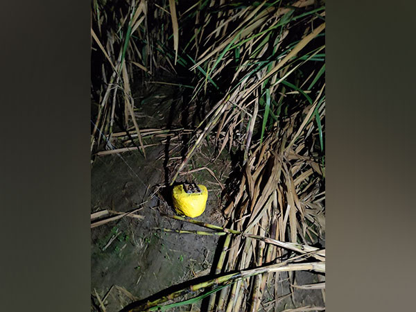 J-K: BSF recovers IED dropped by drone in Kathua district near Indo-Pak ...