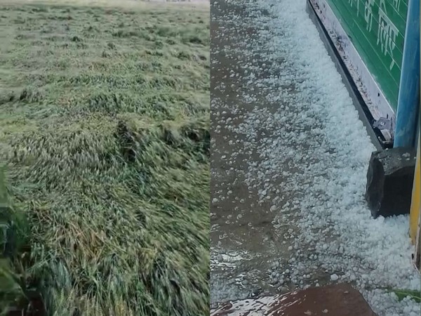 MP CM Mohan Yadav instructs district collectors to conduct survey of ...