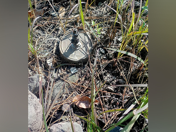 J-K: Security forces recover 7 IEDs and wireless set in Poonch