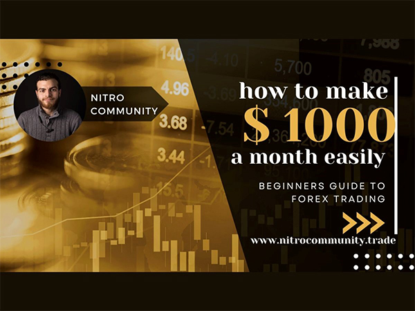 Unlocking the Power of Stock and Forex Trading with Nitro Community