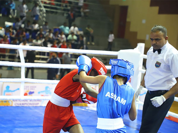 15 Haryana boxers enter quarter-finals of 3rd Sub Junior National ...