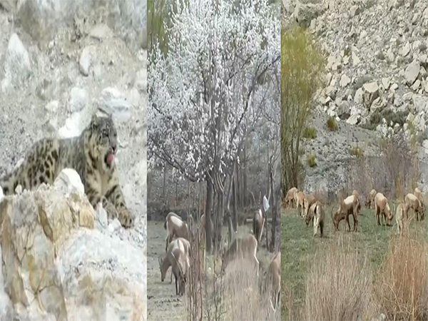 Rise in average temperatures shifts season cycle in Gilgit-Baltistan