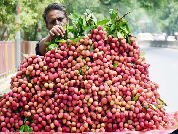 Bihar: Shahi litchi of Muzaffarpur to remain costly due to heatwave spells