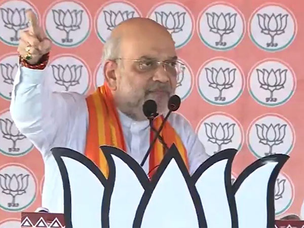 "Your grandmother gave slogan to eliminate poverty but...": Amit Shah takes dig at Rahul Gandhi