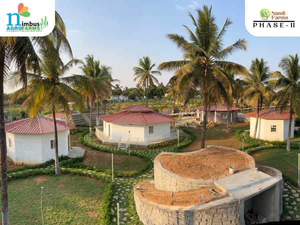 Nimbus Agro Farms Inaugurates Nandi Farms Phase-II, Elevating Country ...