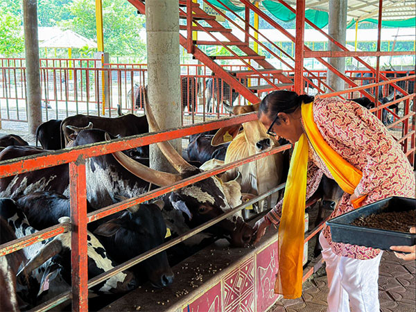 Dinesh Shahra Foundation Supports Gau Swarga's Mission to Preserve ...