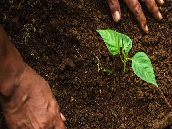 World Environment Day 2024: Generation Restoration initiative takes ...