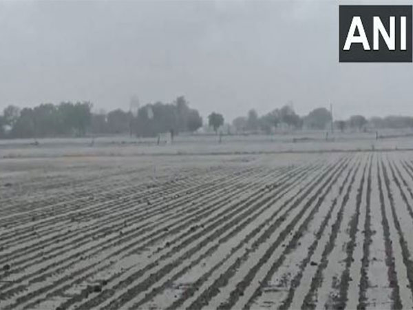 Gujarat: Rain lashes parts of Porbandar city, IMD issues alerts for different areas across country