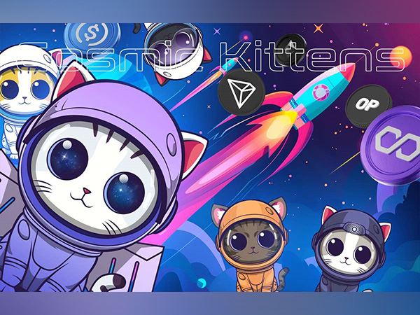 Cosmic Kittens (CKIT), Sui (SUI) and Flare (FLR): The 3 Most Promising Web3 Projects You've ...