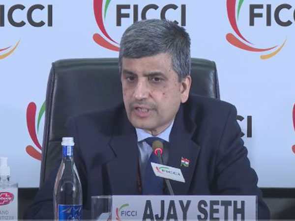 No significant downside risks to 2024-25 GDP growth: Economic Affairs Secretary